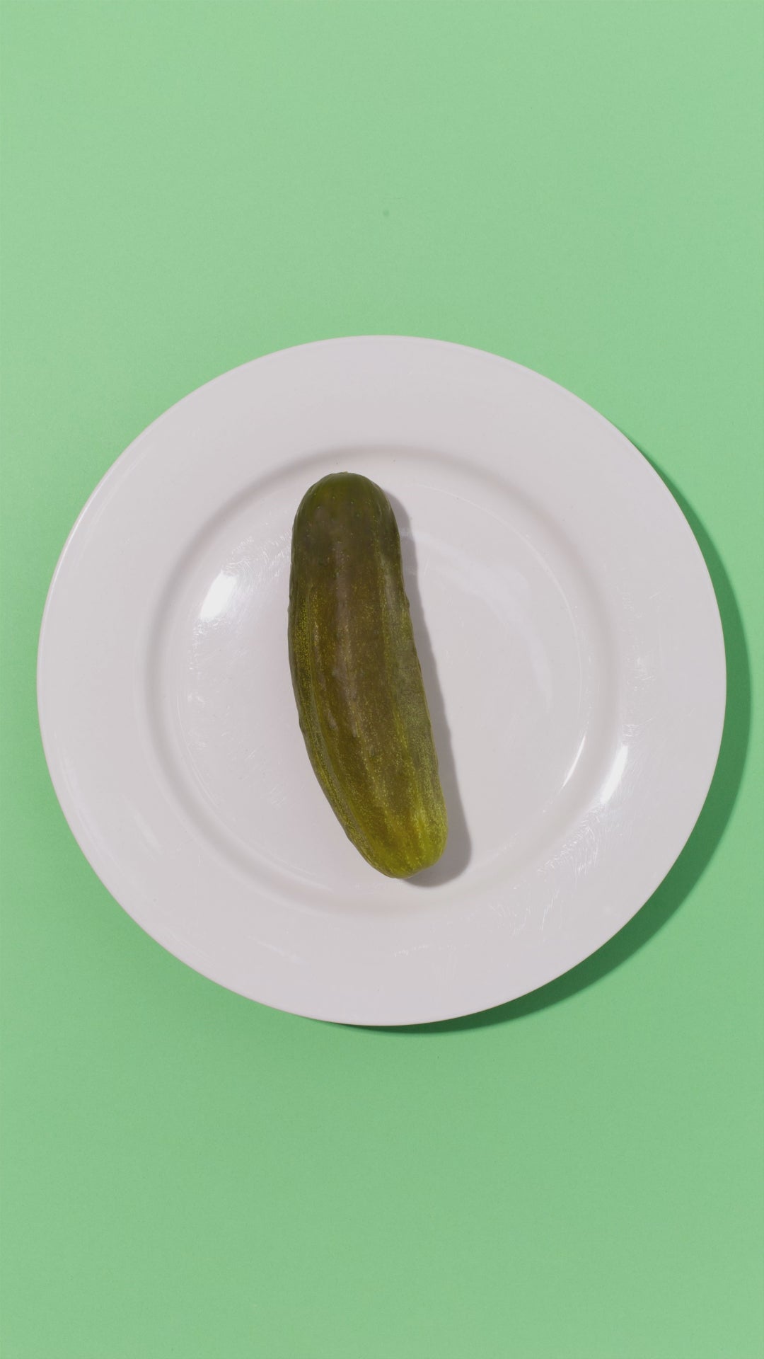 Pickle Charm Necklace – Noshes